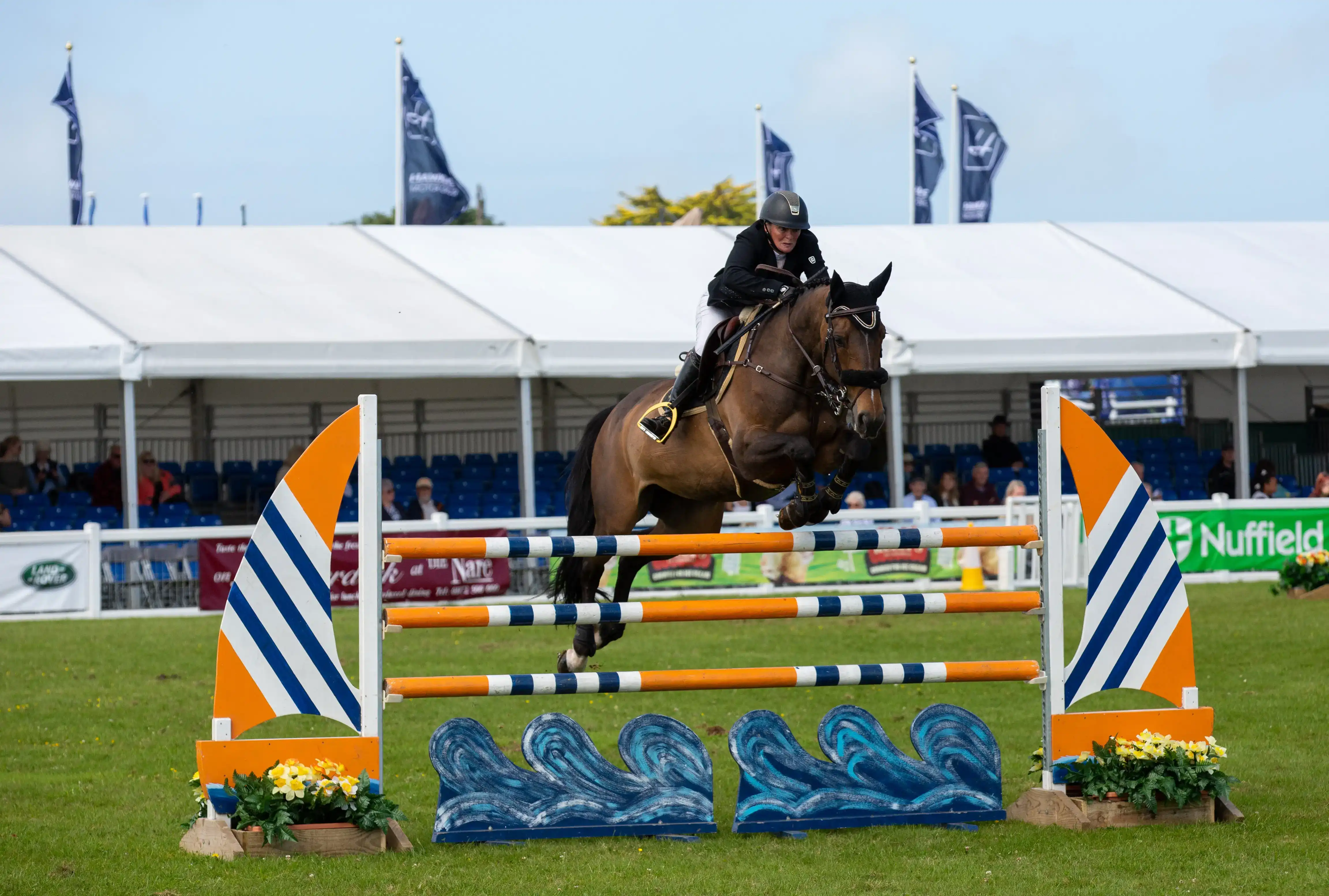 What's on at This Year's Royal Cornwall Show 2024 | Royal Cornwall Show